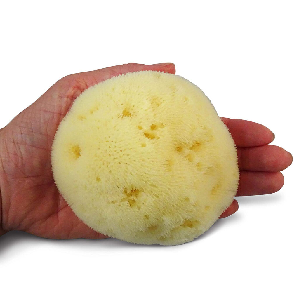 Silk Fine Sea Sponge: Natural Mediterranean Sea Sponge - Lavencia