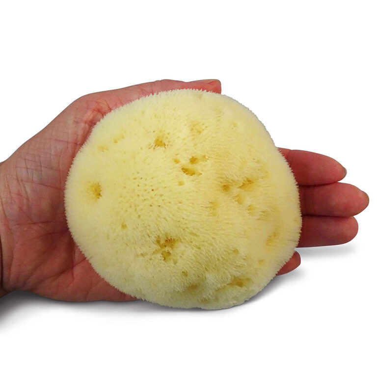 Silk Fine Sea Sponge: Natural Mediterranean Sea Sponge - Lavencia