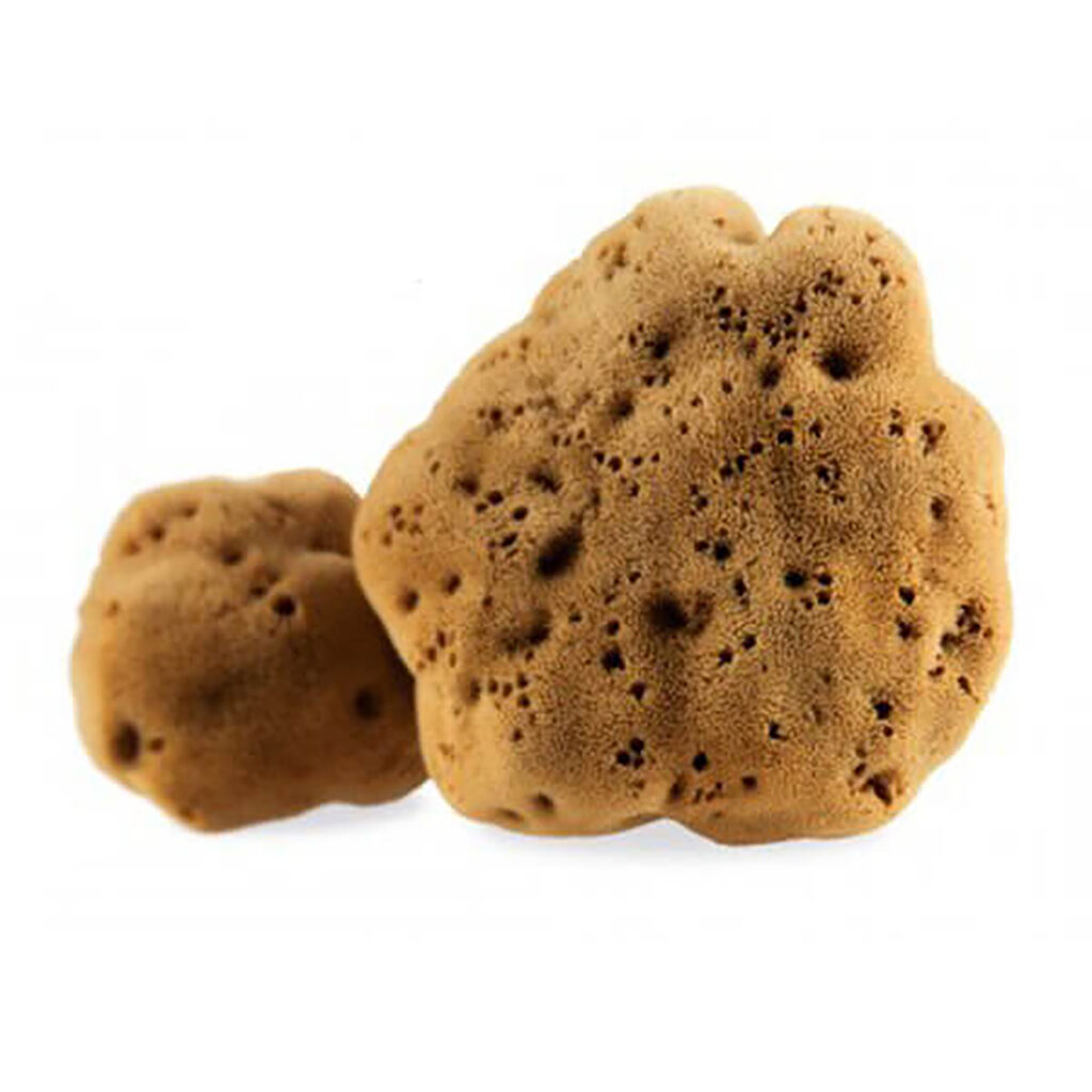 nbleached Silk Fine: Natural Sea Sponge from Greece - Lavencia